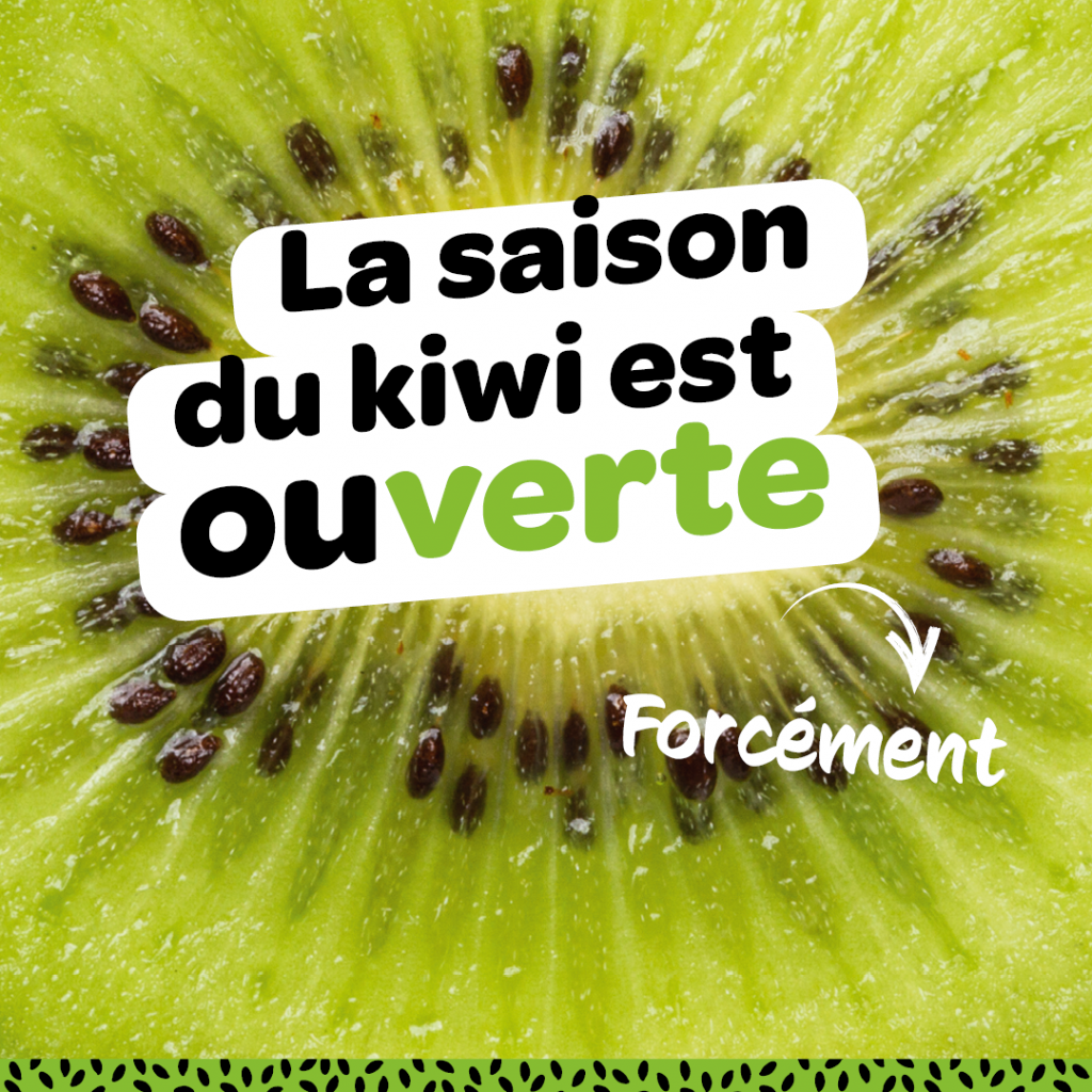 La saison du kiwi est ouverte ! - Le kiwi des producteurs français